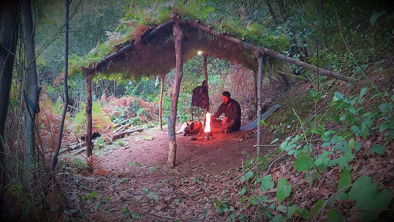 Primitive Bushcraft Shelter Camping - Build Survival Tiny House - Off ...