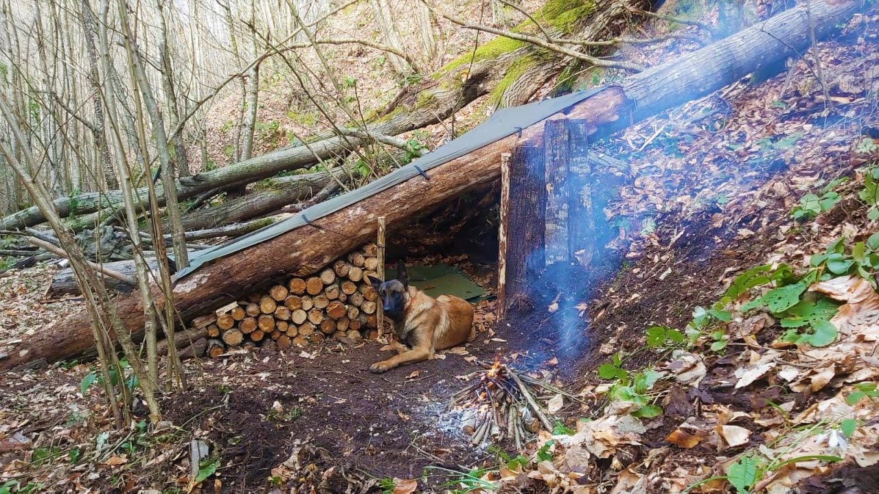 Bushcraft Shelter Camping - Off Grid Cooking, Survival Skills, Campfire ...